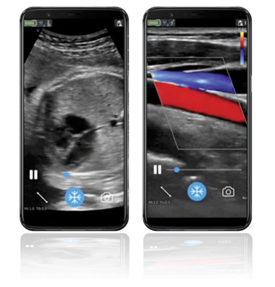 Products - Digimed Medical Systems, Inc.