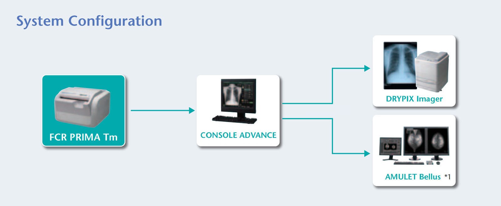 Fujifilm FCR PRIMA Tm - Digimed Medical Systems, Inc.